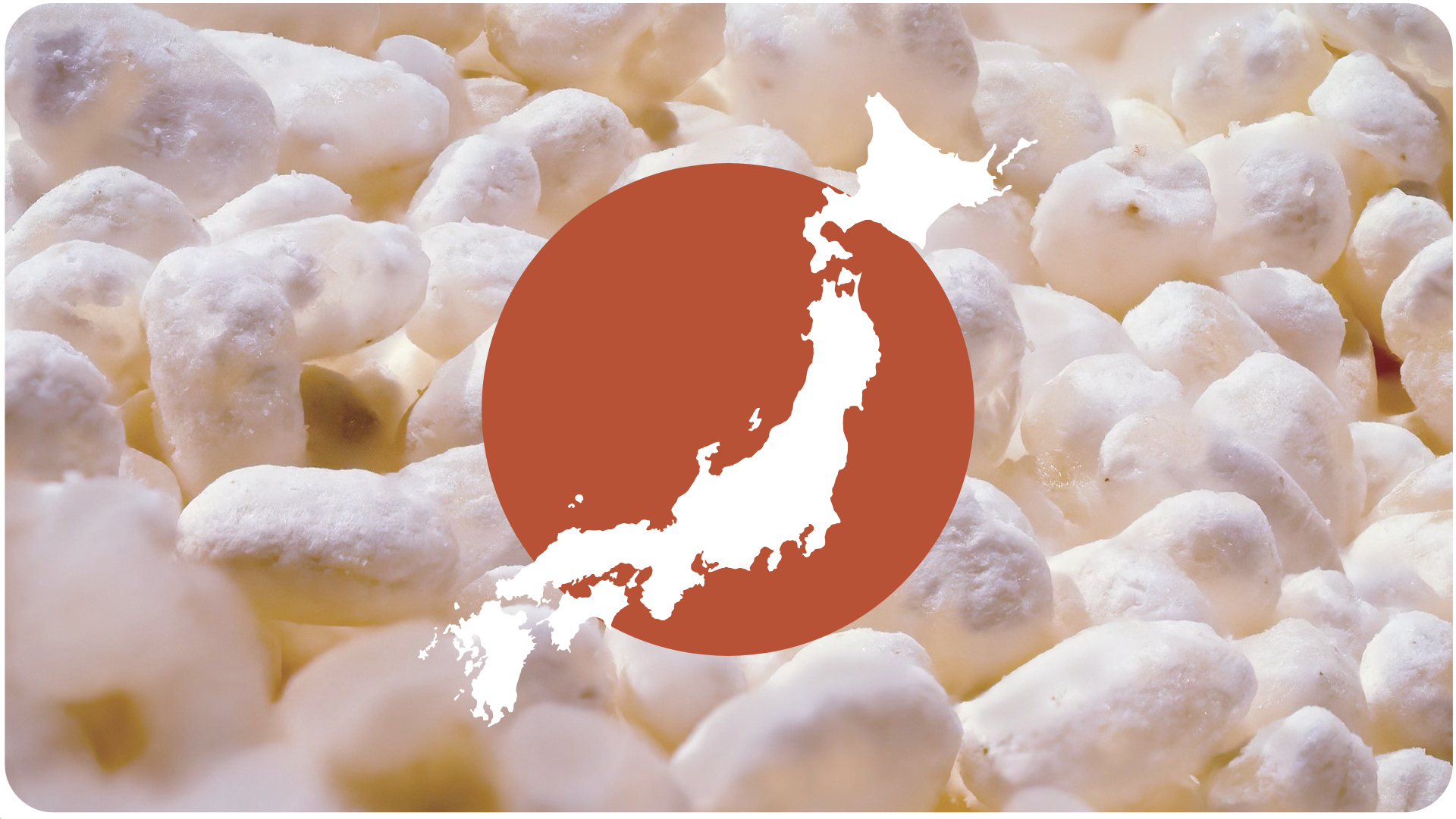What is Koji? The Mold Behind Japan's Most Iconic Flavors – Koji House