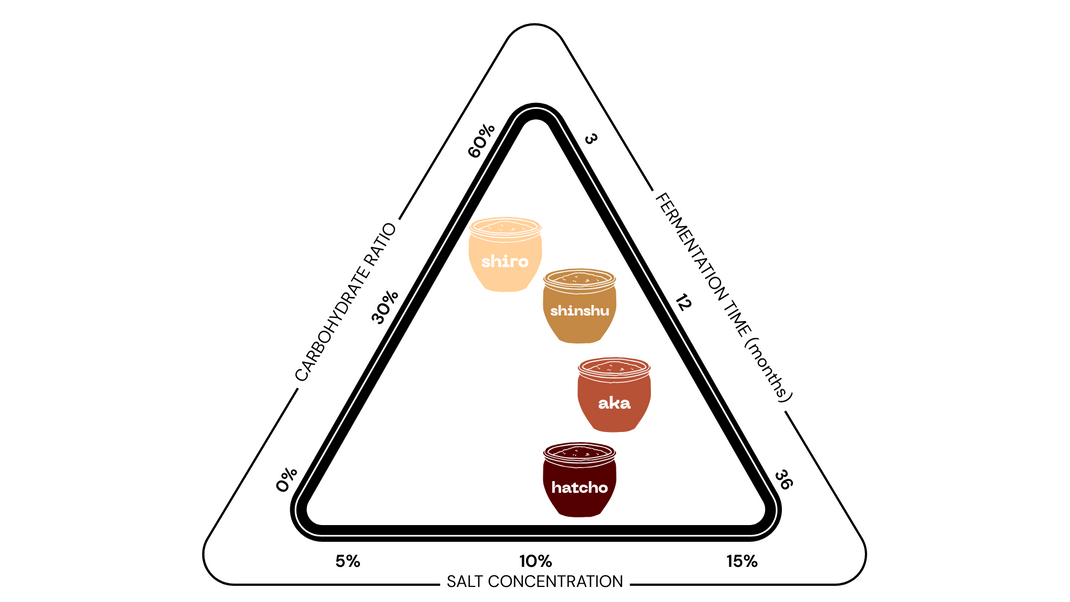What is Miso and How Do I Make it? – Koji House