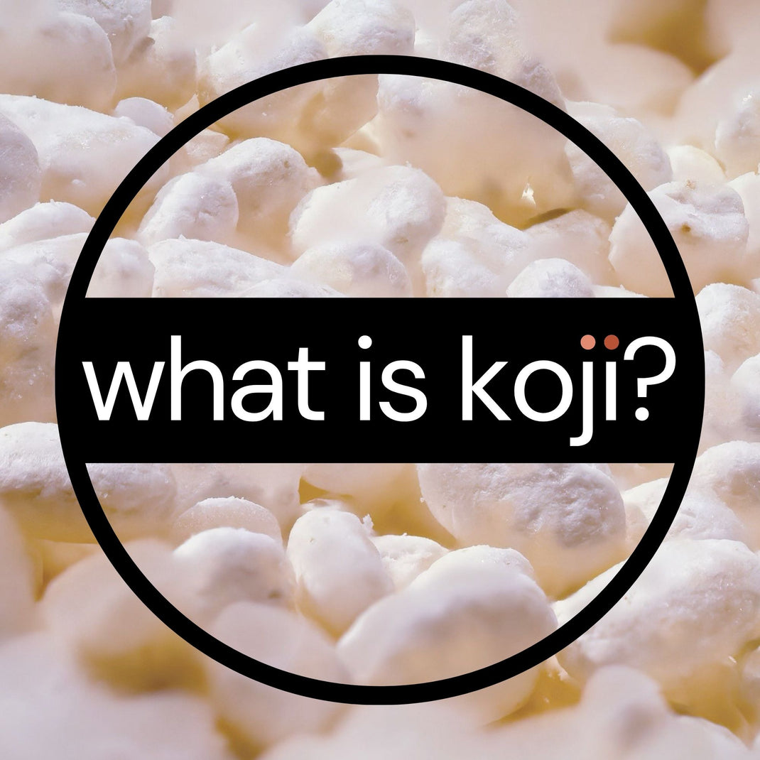 What is koji? The mold behind Japan's most iconic flavors – Koji House