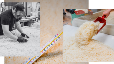 What is koji? The mold behind Japan's most iconic flavors – Koji House